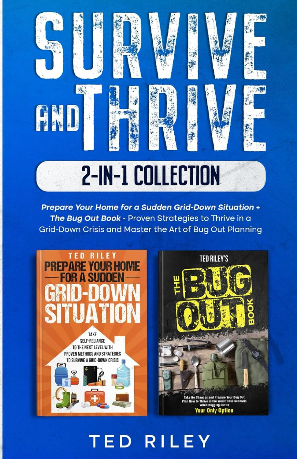 Survive and Thrive 2-In-1 Collection: Prepare Your Home for a Sudden G ...